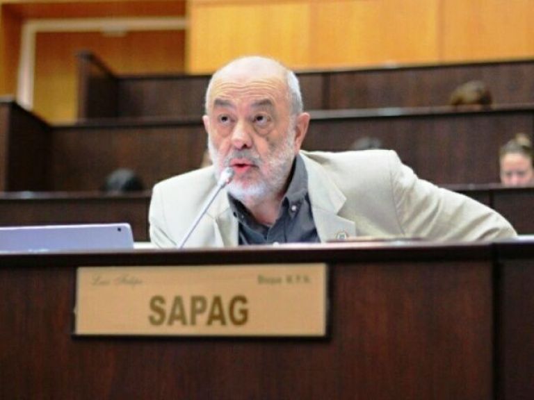 La muerte de Luis Sapag, testigo de la historia del MPN | Diariamente ...