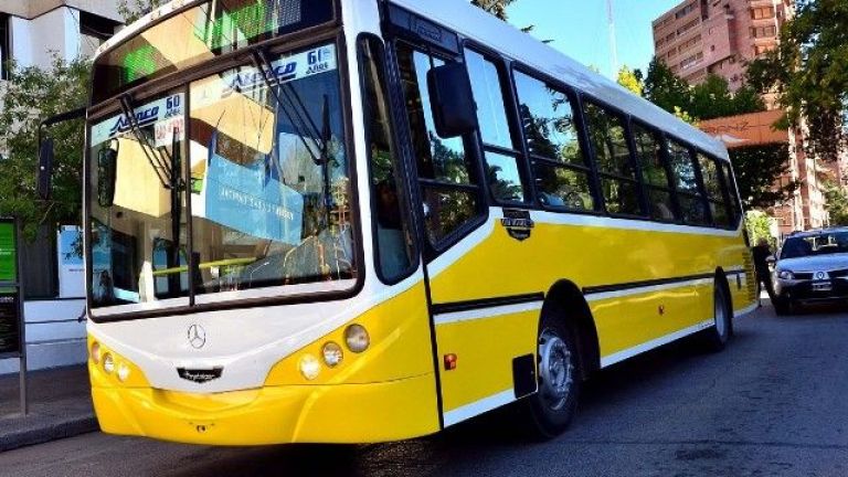 Transporte directo al río para disfrutar el verano | Diariamente ...